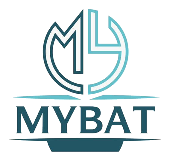 MY BAT